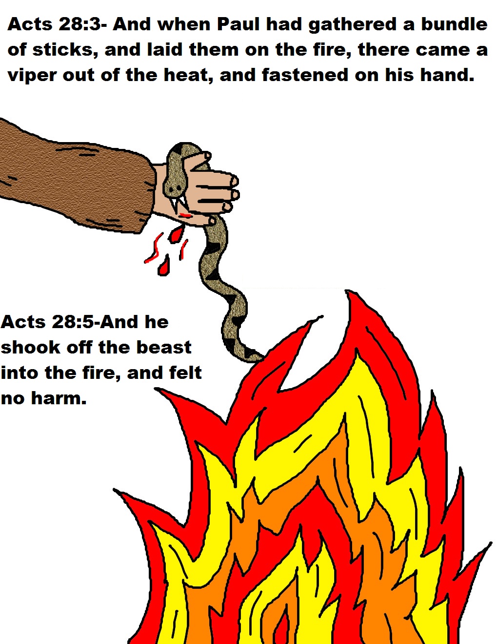 Paul Bitten By Viper Sunday School Lesson